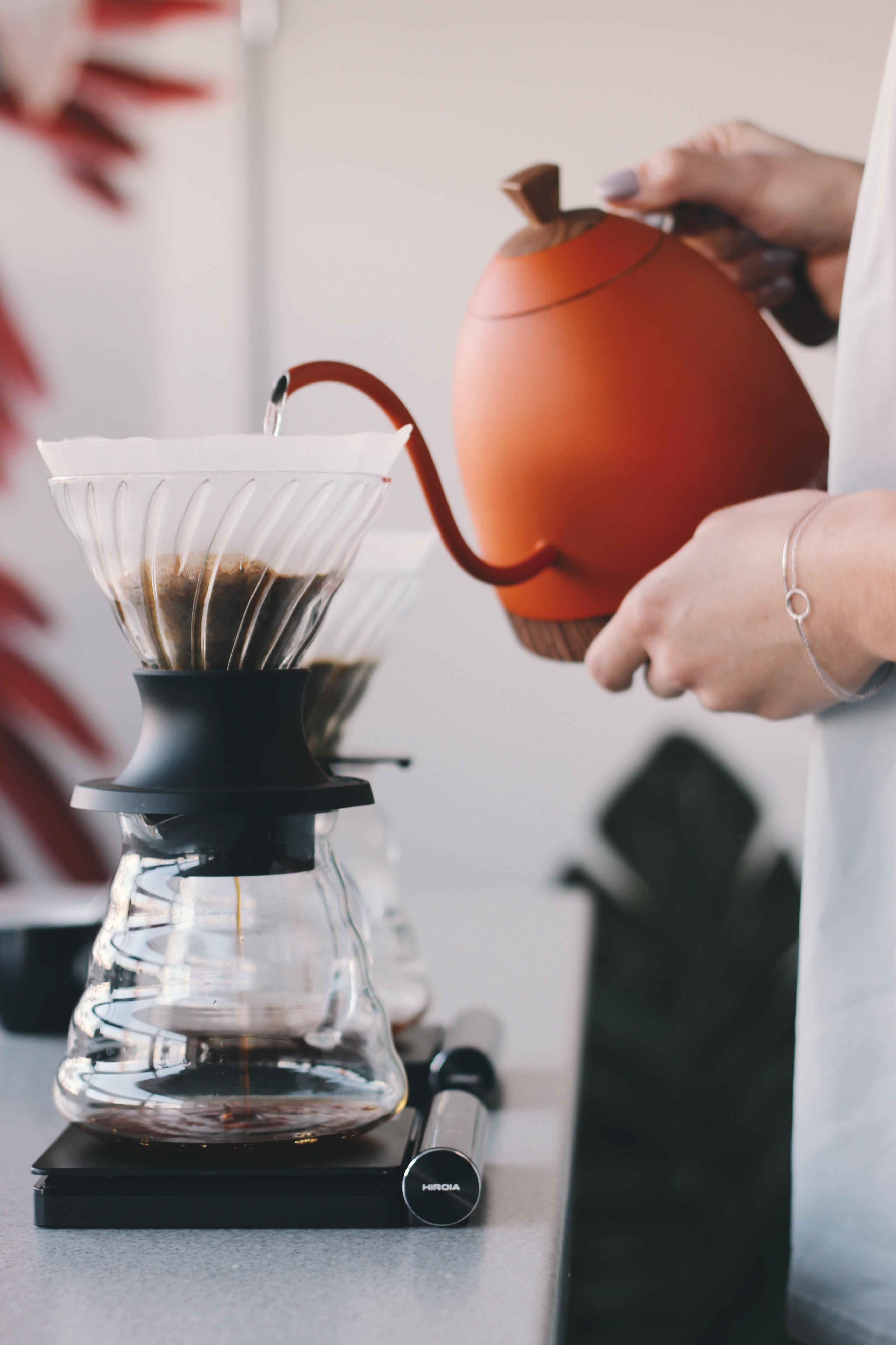 5 Essential Equipment You Need To Start Brewing Pour Over Coffee (Begi ...